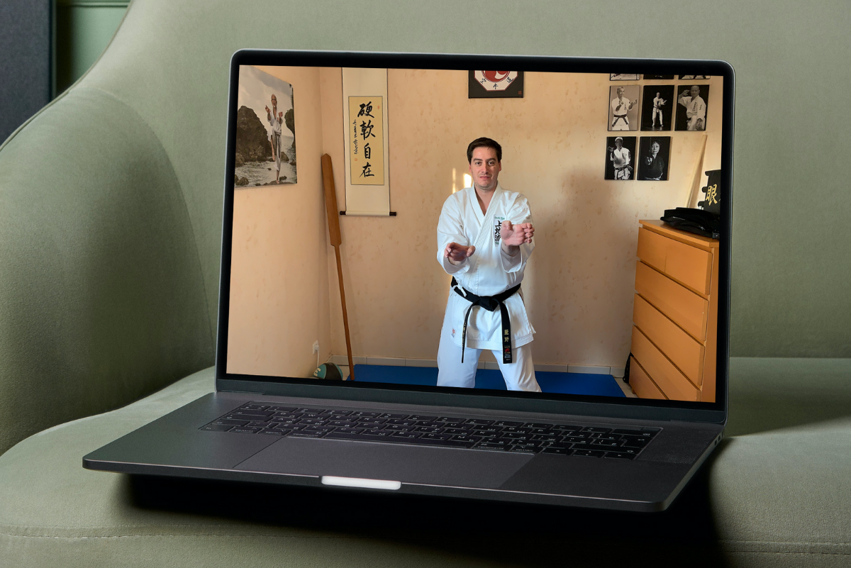 Cours en ligne - L'Institut du Karate Uechi-Ryu