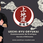 Kyu Kumite - ORYUKAN